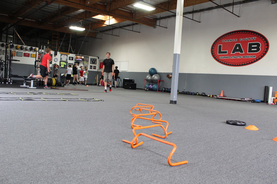 LAB Sports Training – LAB SPORTS TRAINING